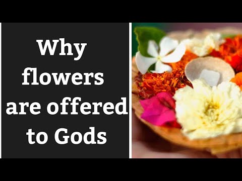Why are flowers offered Gods | significance of offering flowers to Gods ...
