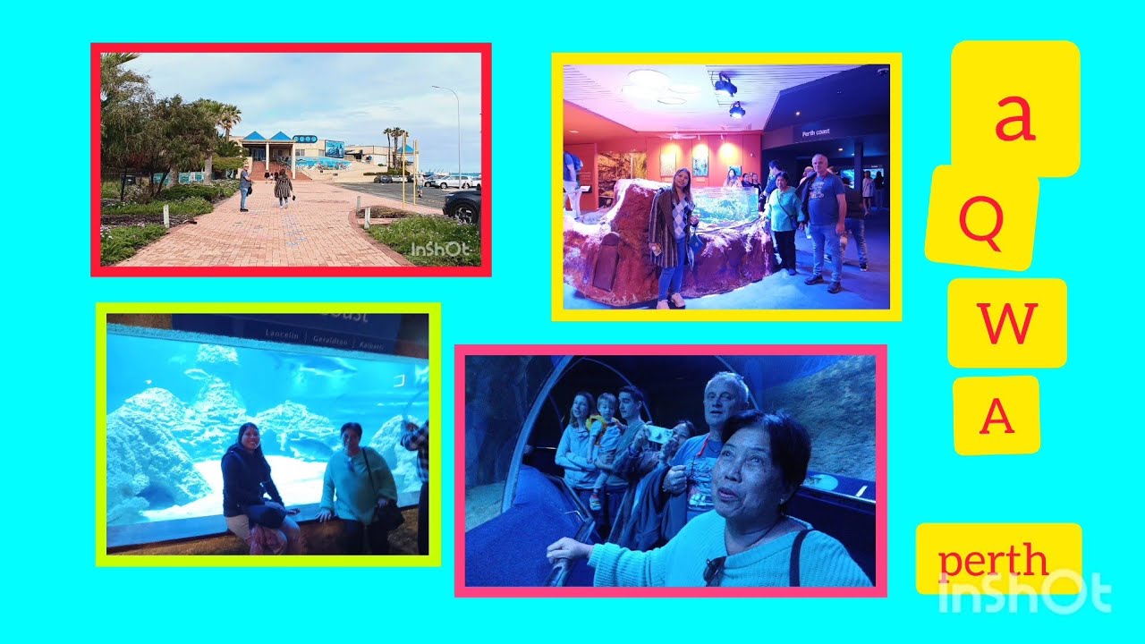 Aqua Western Australia (AQWA) Part 1 The tOur rist😊😉 - YouTube