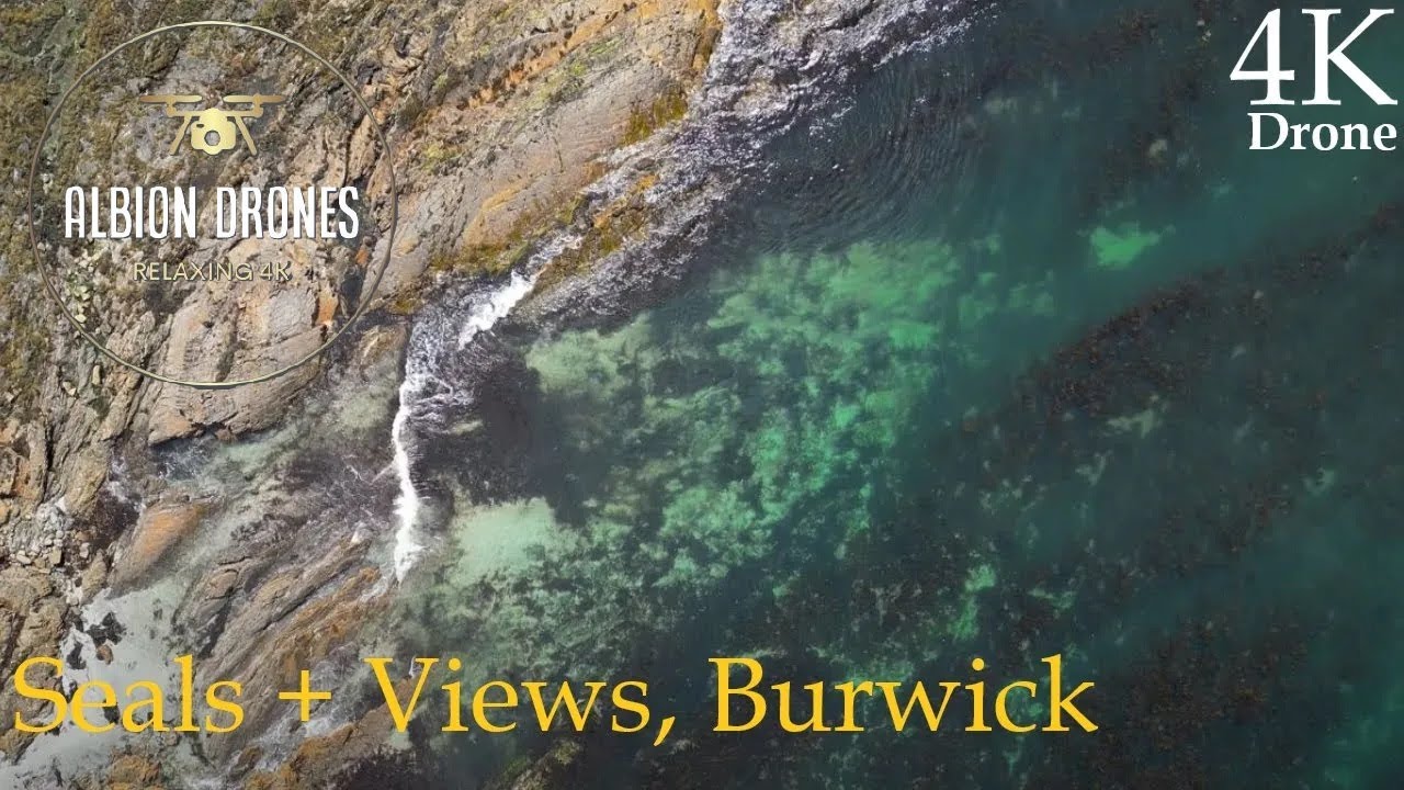 Burwick, South Ronaldsay, Seals and Views - DJI MINI3 Pro 4K - June ...