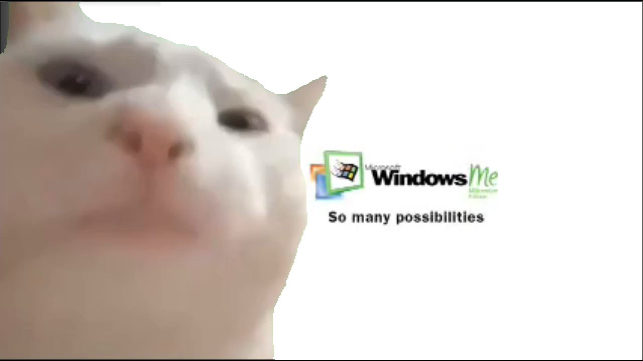 Cat Vibing To Windows Me Intro - Catz Vibez - YouTube