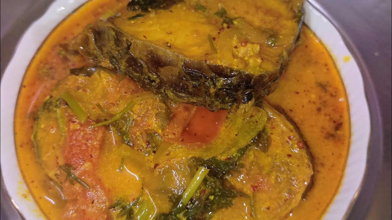 dohi macho 🐟🐟🐟 - YouTube