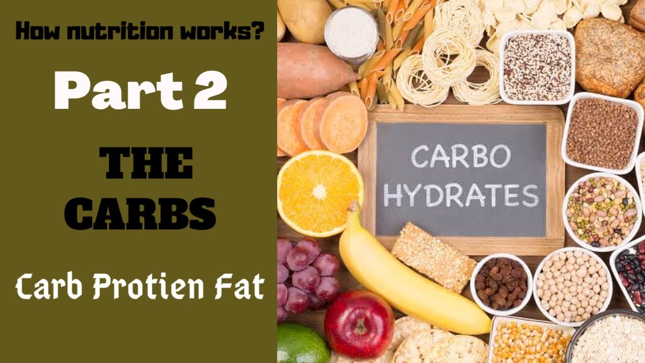 How Nutrition Works? ||Part 2||Carbohydrates|| - YouTube