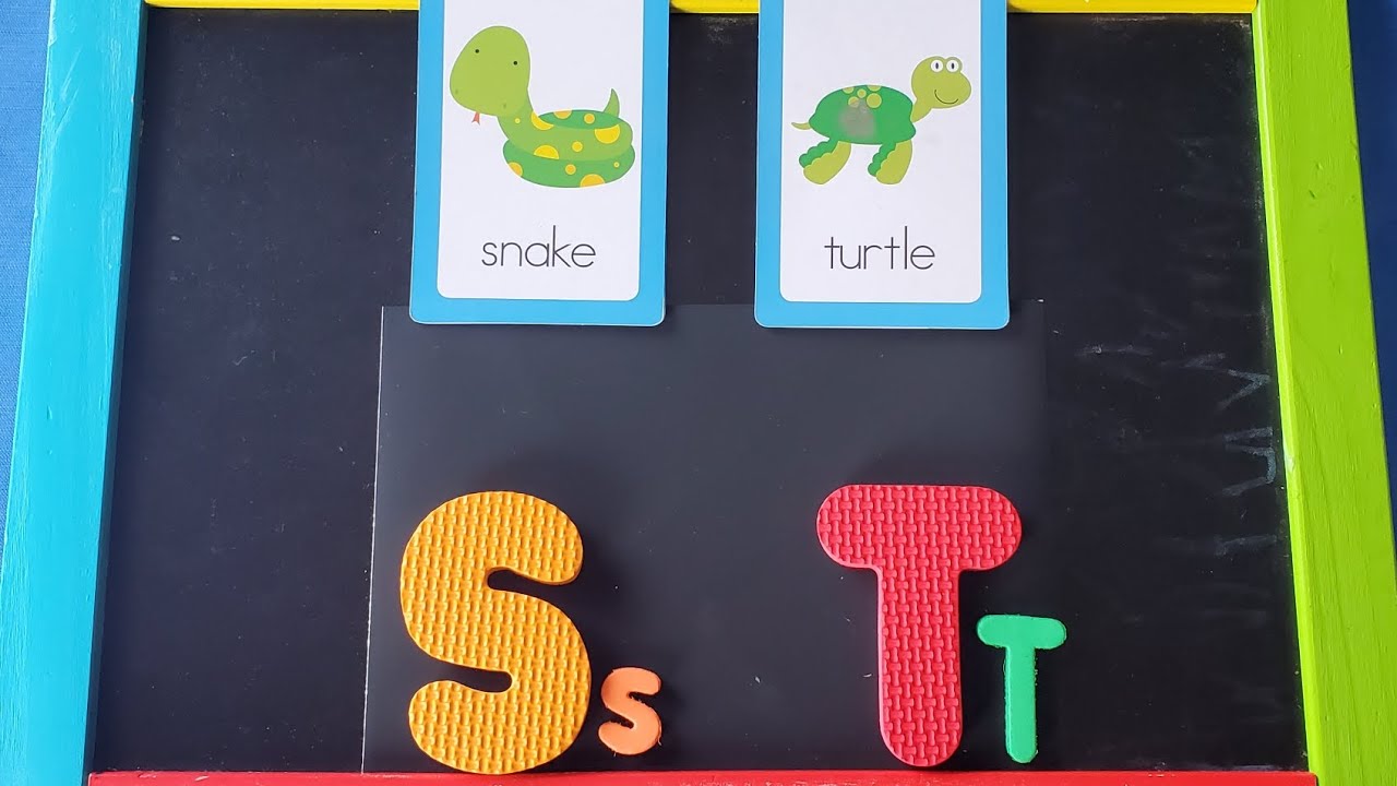 S for Snake & T for Turtle | Letters S & T #abc #abcd #abcde #alphabets ...
