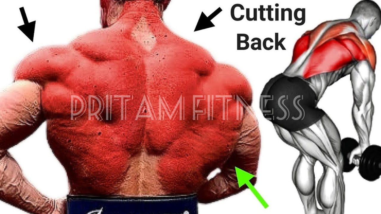 back cutting workout at gym - back cutting workout - YouTube