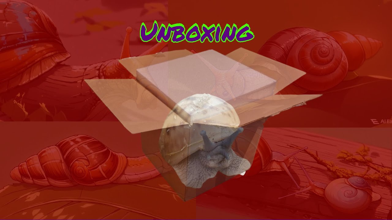 Unboxing Stunning Snail Species 🐌 | Slimy Surprise! - YouTube