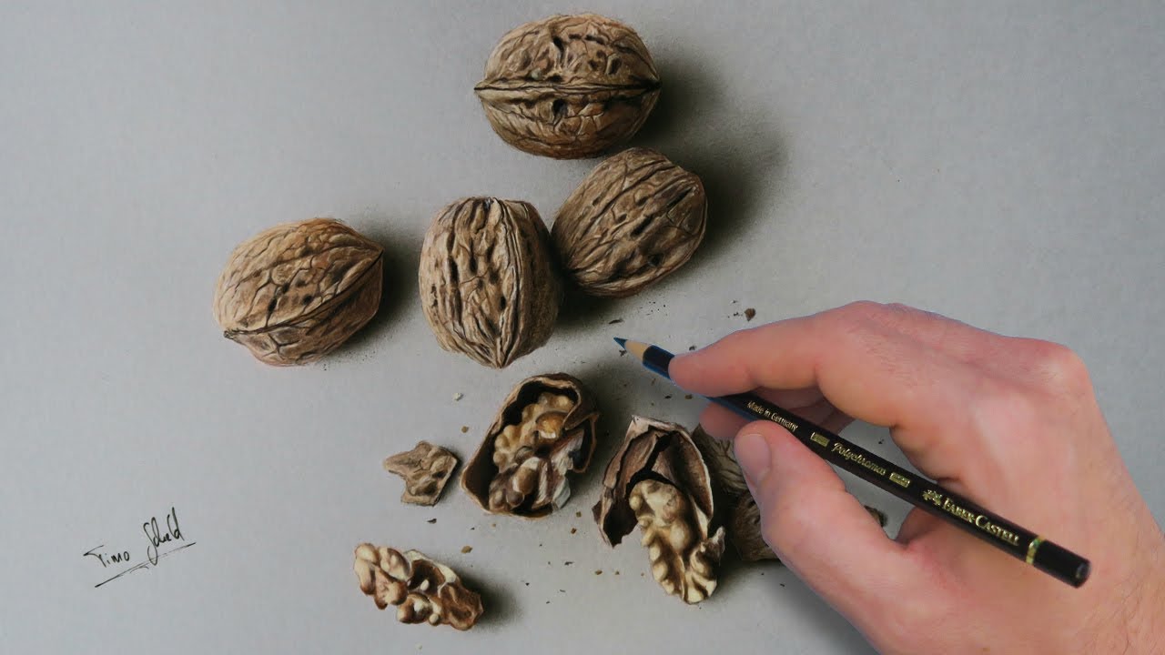 Walnuts 3D Drawing - YouTube
