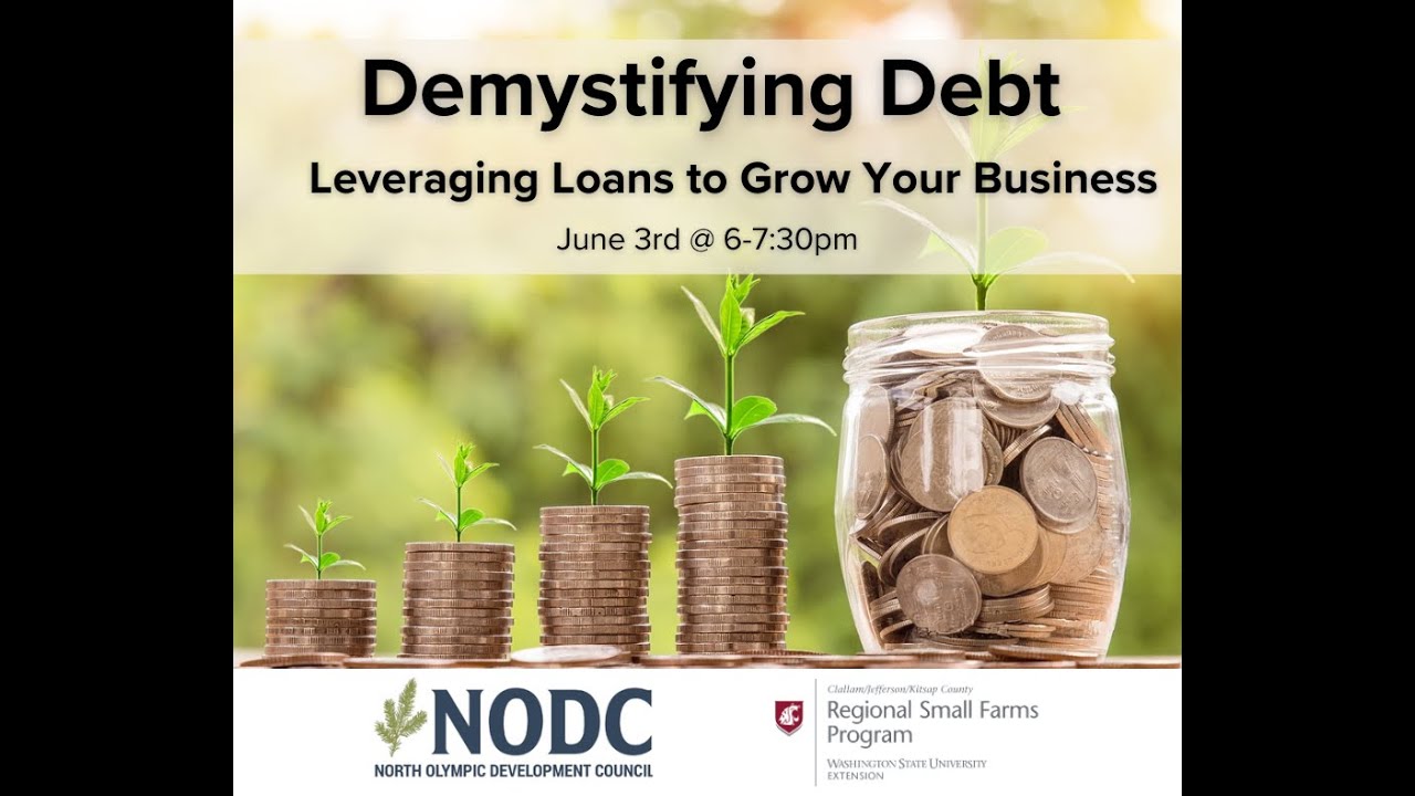 Demystifying Debt: Leveraging Debt to Grow Your Business - YouTube
