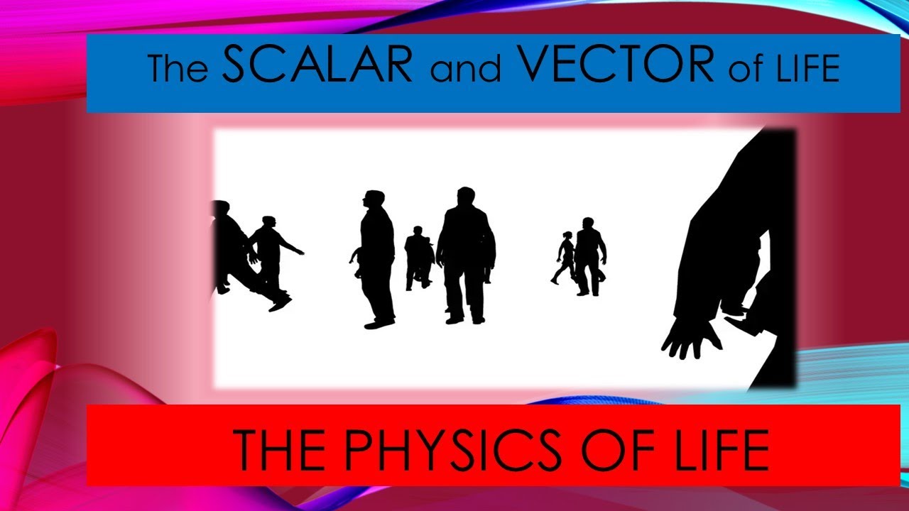 The SCALAR and VECTOR of LIFE. The PHYSICS of LIFE. - YouTube