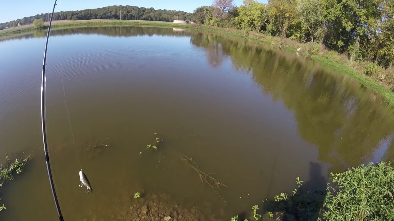 Early Fall Pond Bass Fishing - YouTube