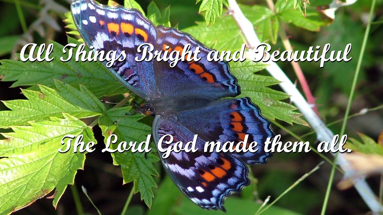 All Things Bright and Beautiful - YouTube