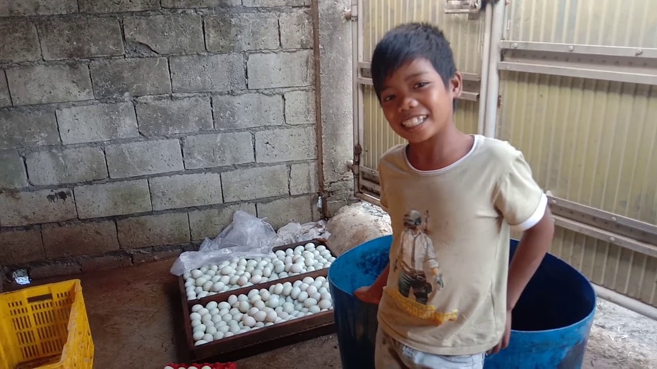 ITLOG ITIK BIGAS BUSINESS - YouTube