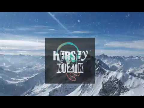 Uğur etiler-yaktım gemileri