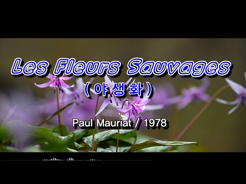 Les Fleurs Sauvages  - Richard Clayderman / 1978 (야생화 – 리차드 클레이더만) [연주곡]