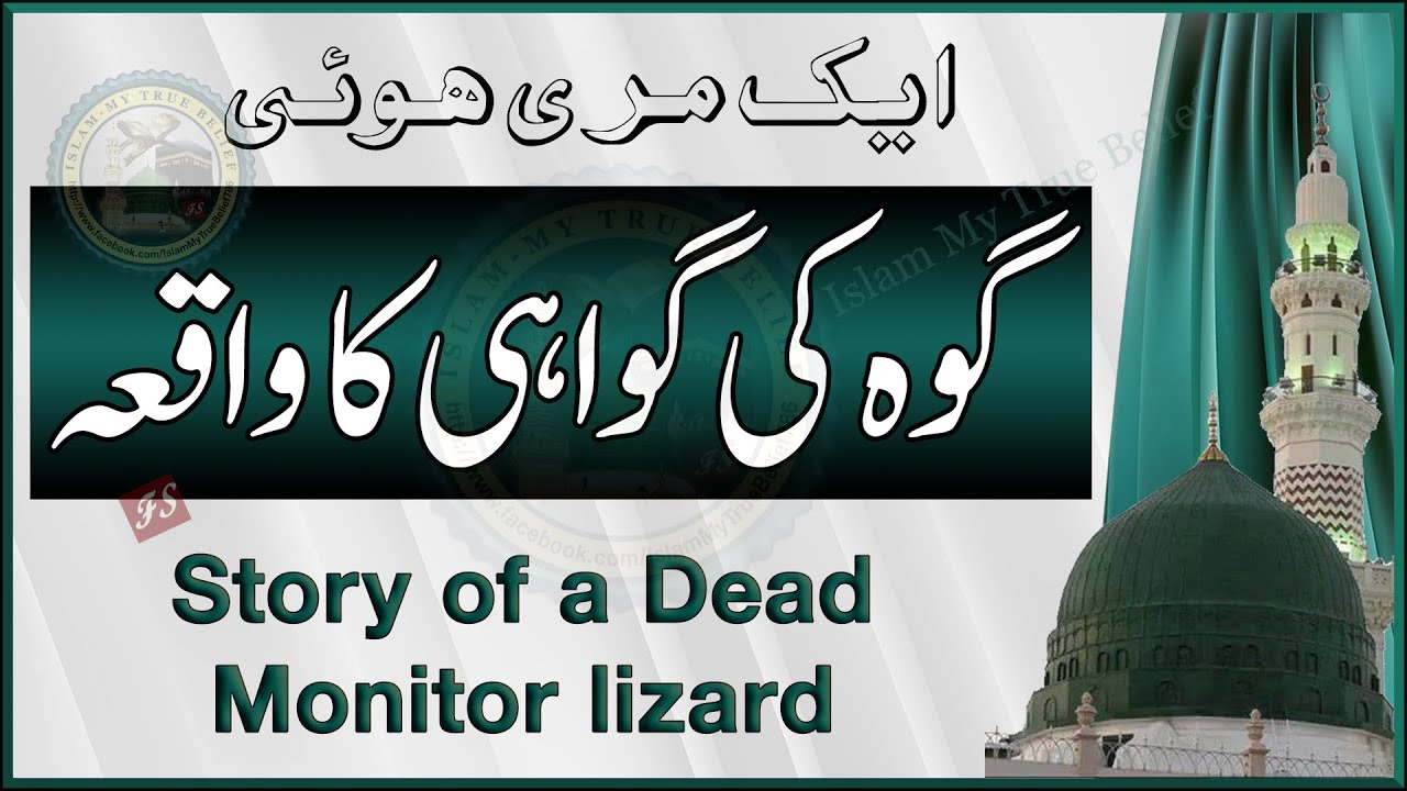 Goh ki Gawahi ka Waqia | Story of a Dead Monitor Lizard | Mojzat e ...