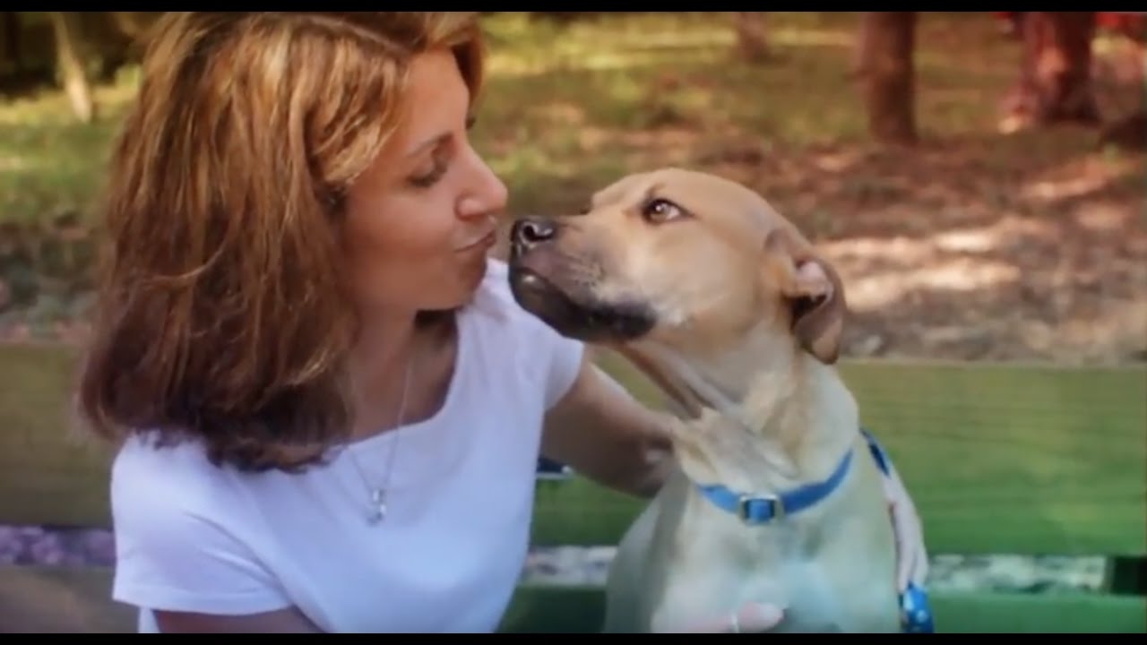 Humane Hero: Kate MacFall - YouTube