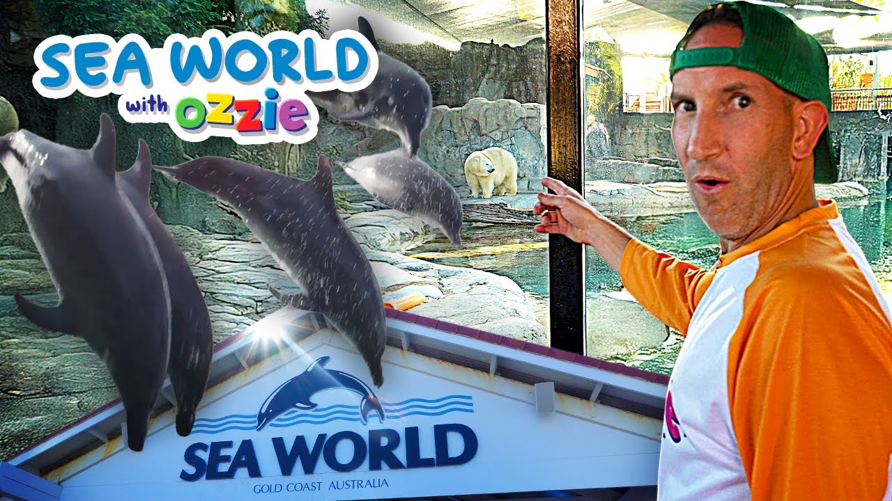 Ozzie's Sea World Adventure | Epic Rides and Amazing Marine Animals ...