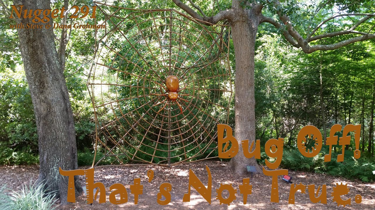 Bug off – That’s Not True - YouTube