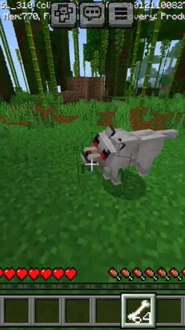 I TAMING A DOG IN MINECRAFT - YouTube