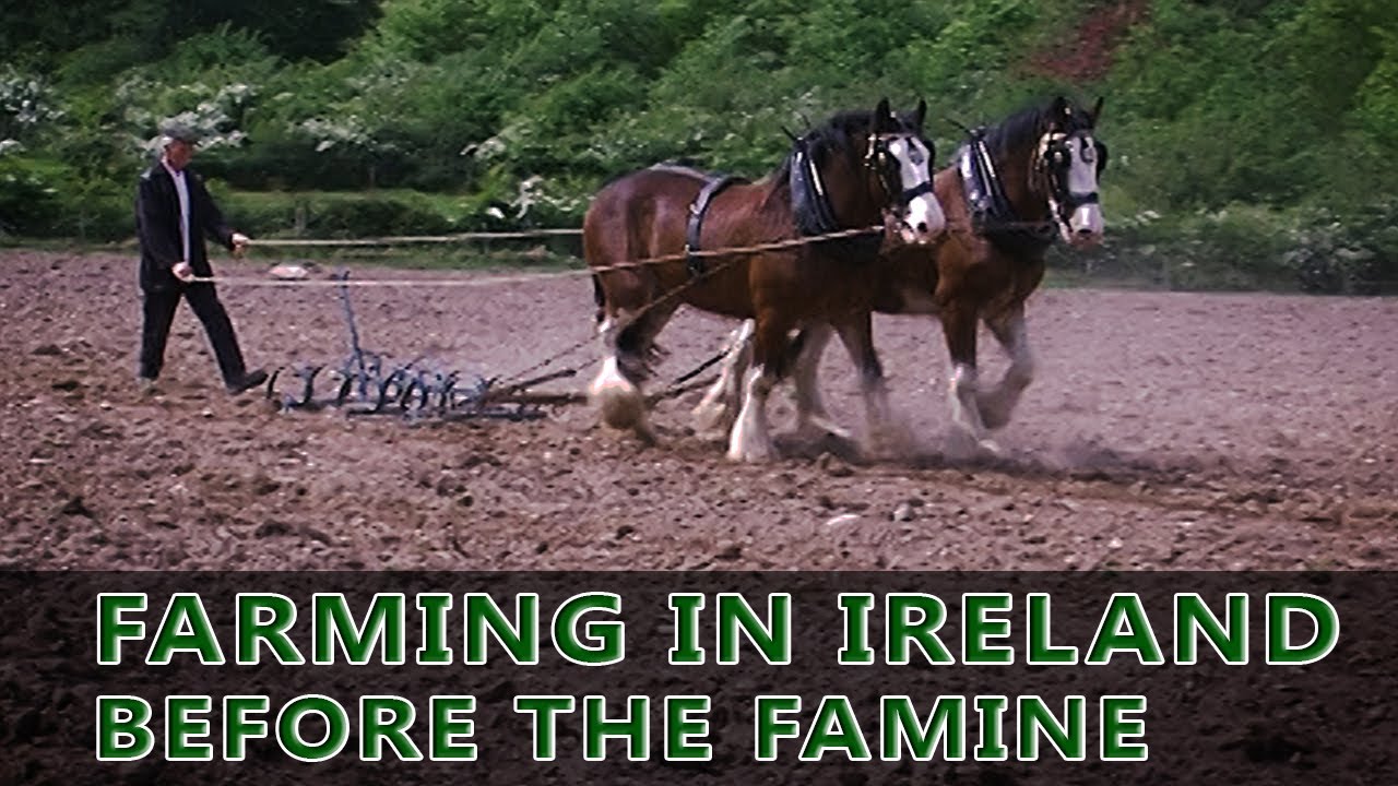 Farming in Ireland before the Potato Famine - YouTube