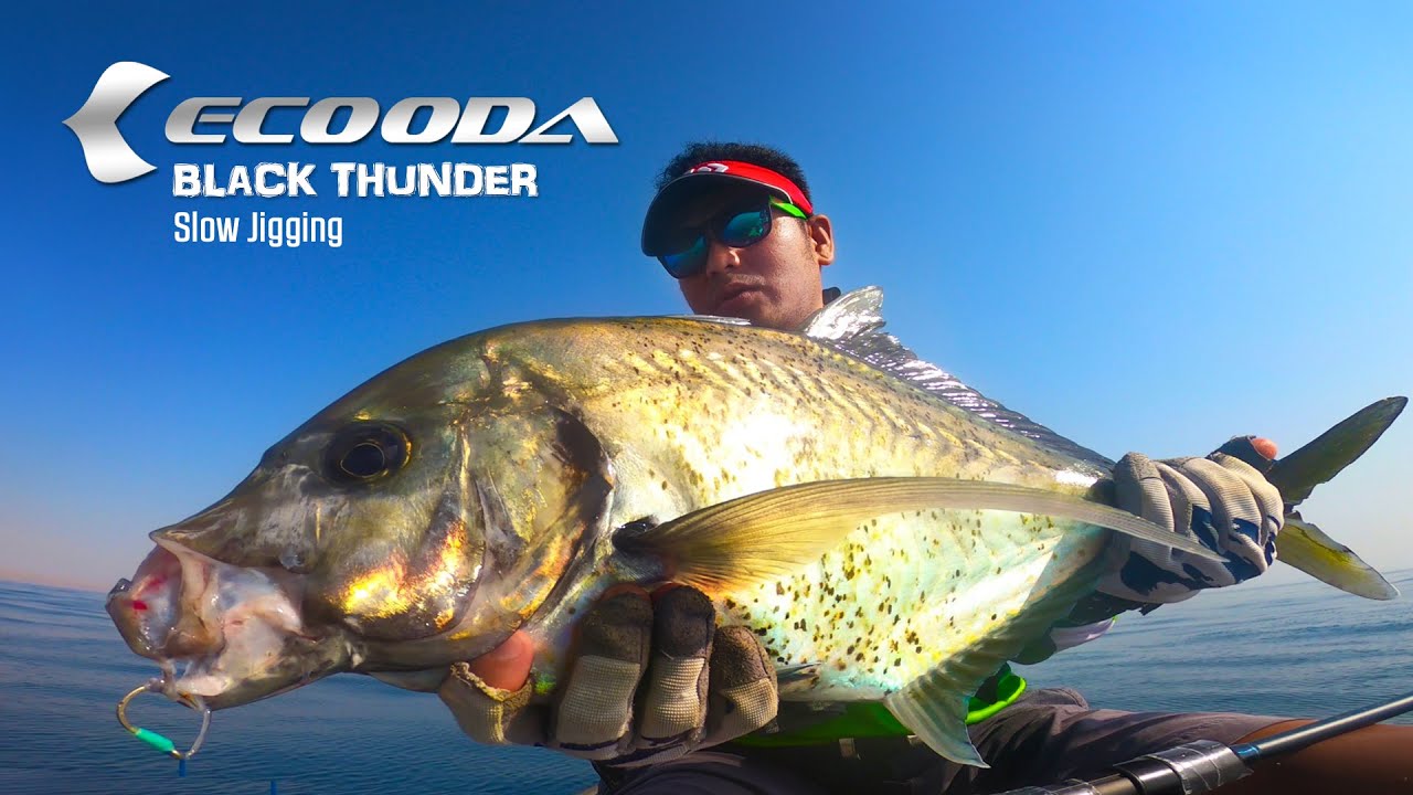 ECOODA BLACK THUNDER Field Test and the RESULTS is BOOM! - YouTube