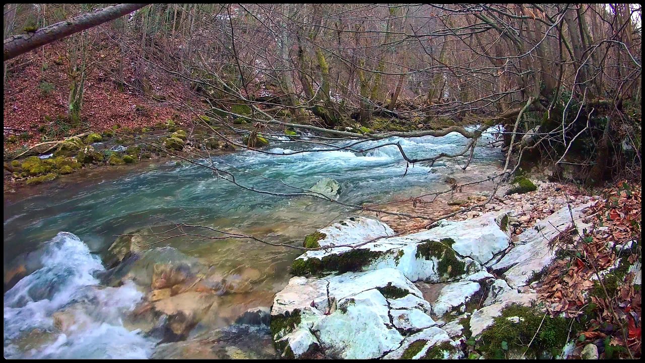 Relaxing River Ambiance With Beautiful Running Water - YouTube