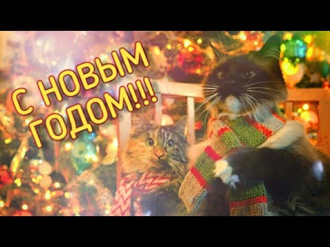 Как я справляю Новый год!🎉/ Мой новогодний стишок🎄 - YouTube