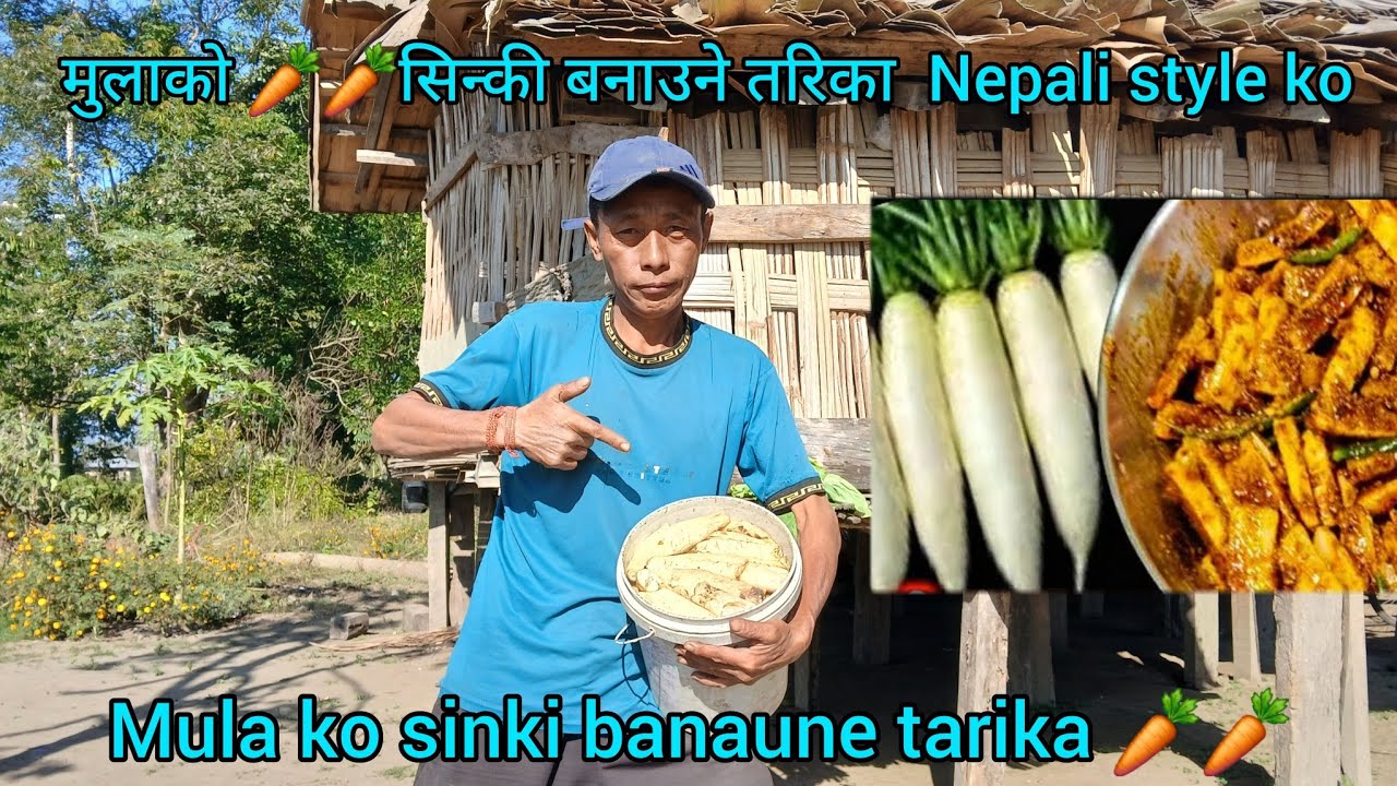 मुलाको 🥕🥕सिन्की बनाउने || तरिका Nepali style ko mula ko sinki ...