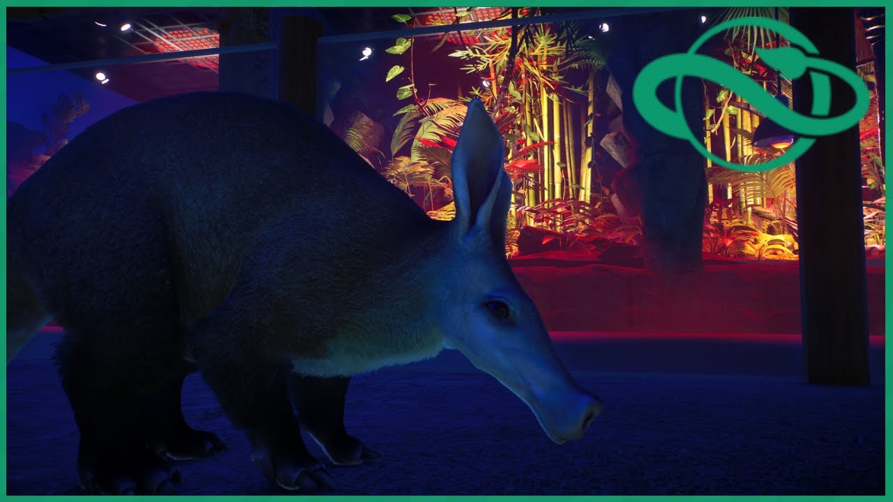 Planet Zoo Nocturnal House exhibit speed build! (Part #3) - YouTube