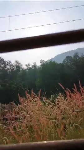 Tour of Orissa train journey - YouTube