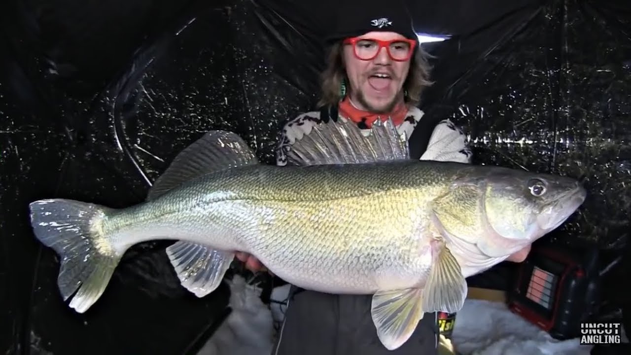 TOP 5 BIGGEST WALLEYES CAUGHT ICE FISHING (compilation) - YouTube