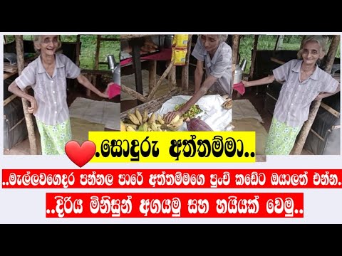 හිත හොද සොදුරු අත්තම්මගෙ පුංචි කඩේ |Punchi Kade @E-Savi - YouTube