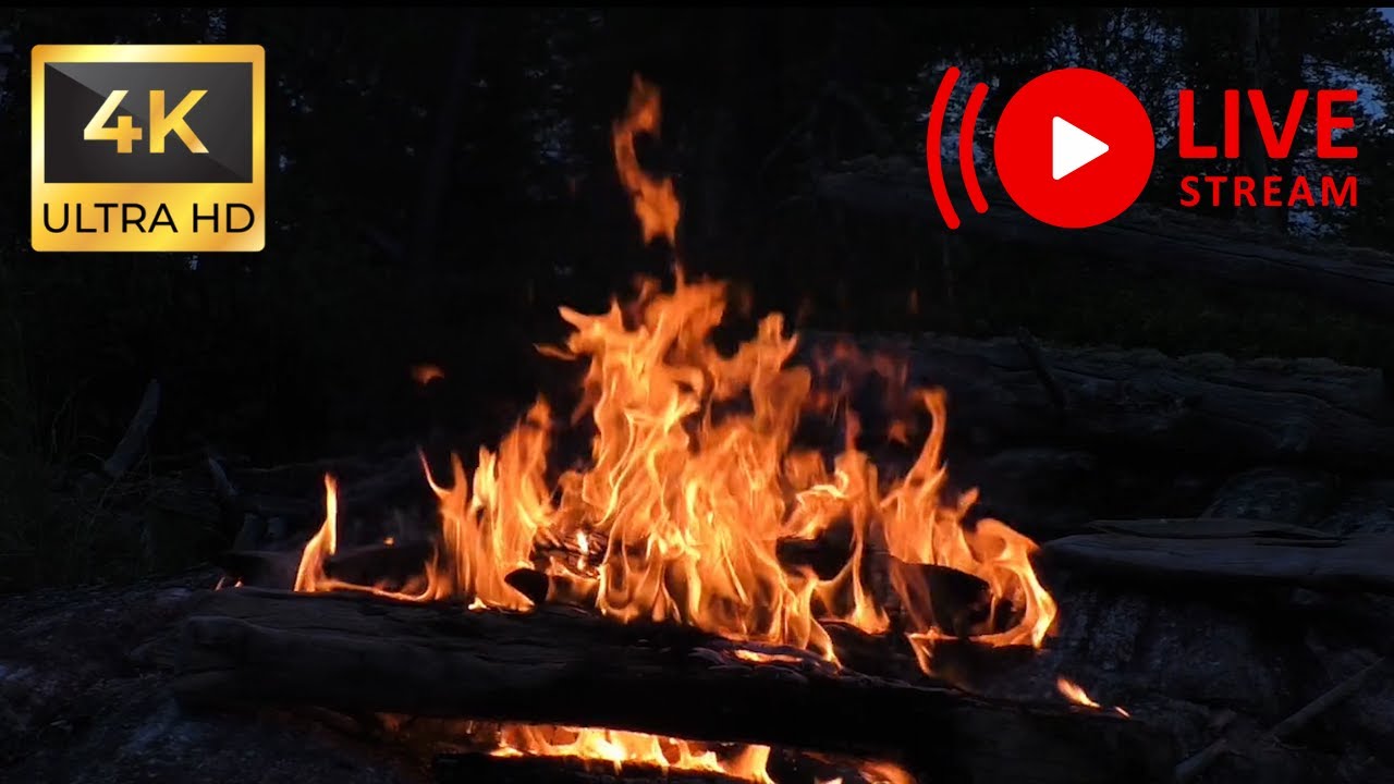 🔴LIVE 4K Campfire by the River - Relaxing Fireplace and Nature Sounds ...