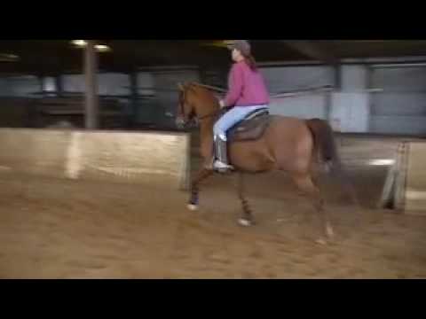 Beautiful arab trot - YouTube