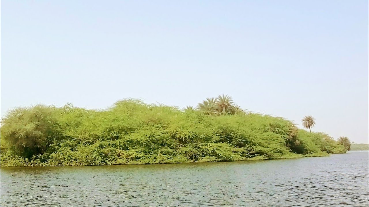 "keetham jheel Agra" t - YouTube