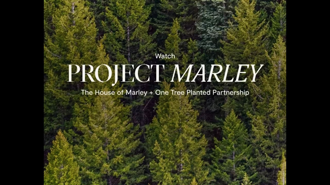 Proyecto Marley - YouTube