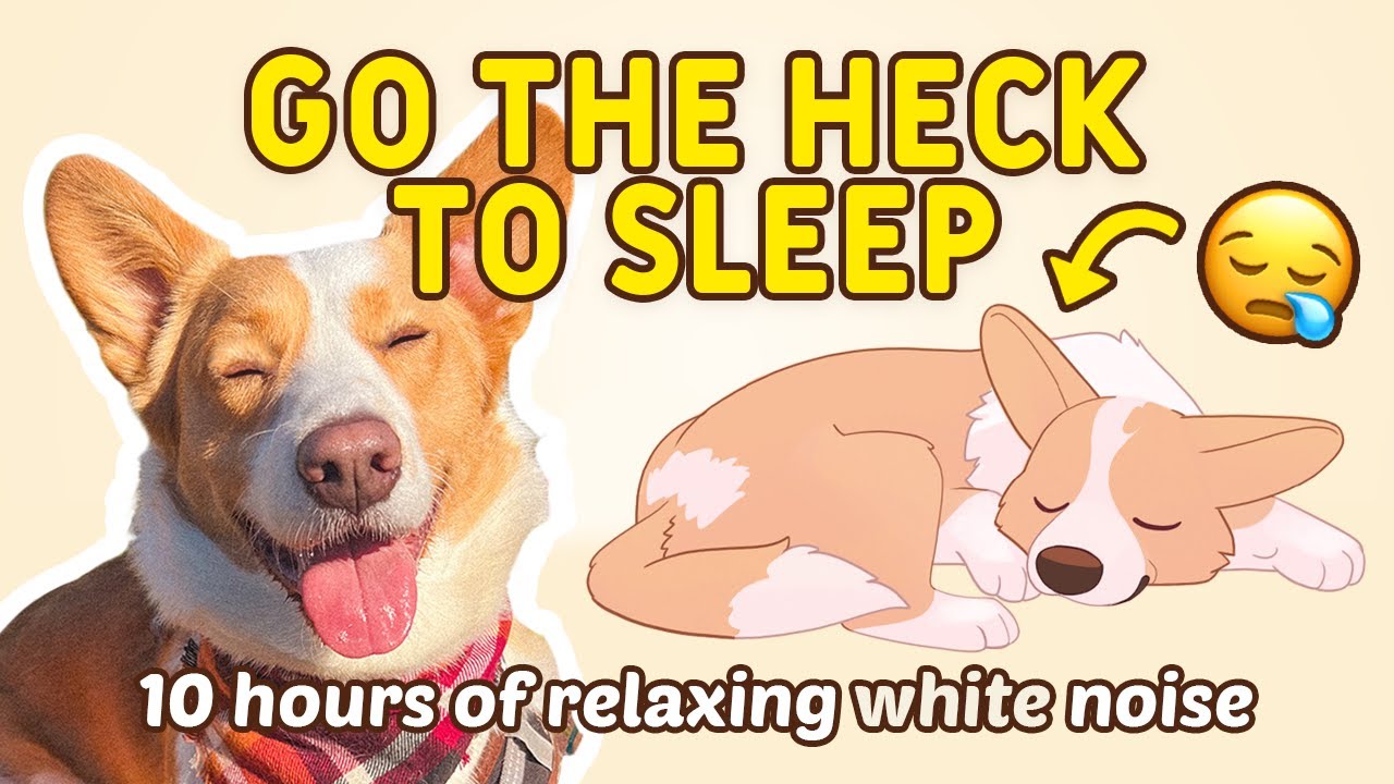 Go the heck to sleep 😪 | 10 hours of relaxing white noise - YouTube