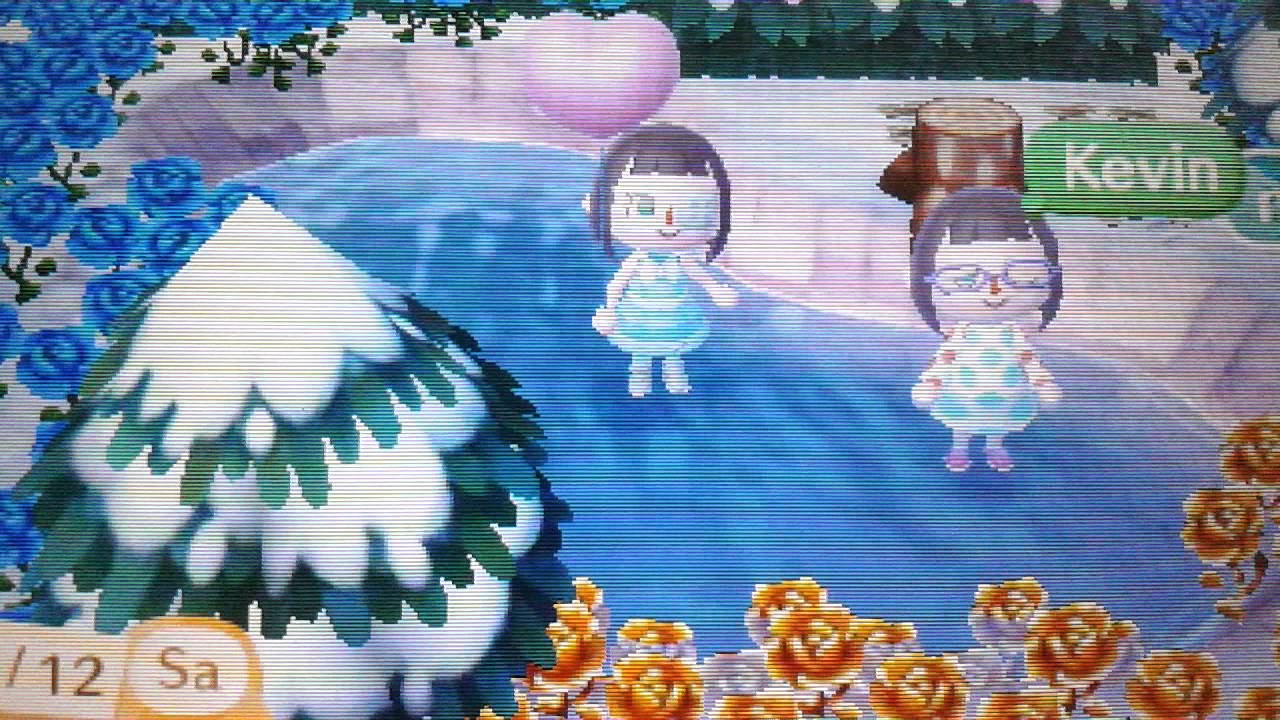 [Acnl]☆Wifi Avec Shouki Biscuit et Kévin de Bangkok☆ - YouTube