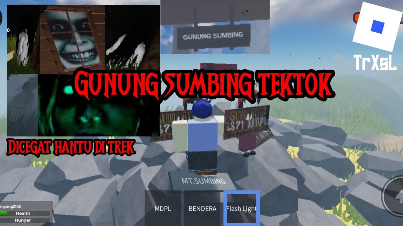 SUMMIT GUNUNG SUMBING, SELESAIKAN TRIPLE S DI GAME ROBLOX // ROBLOX ...
