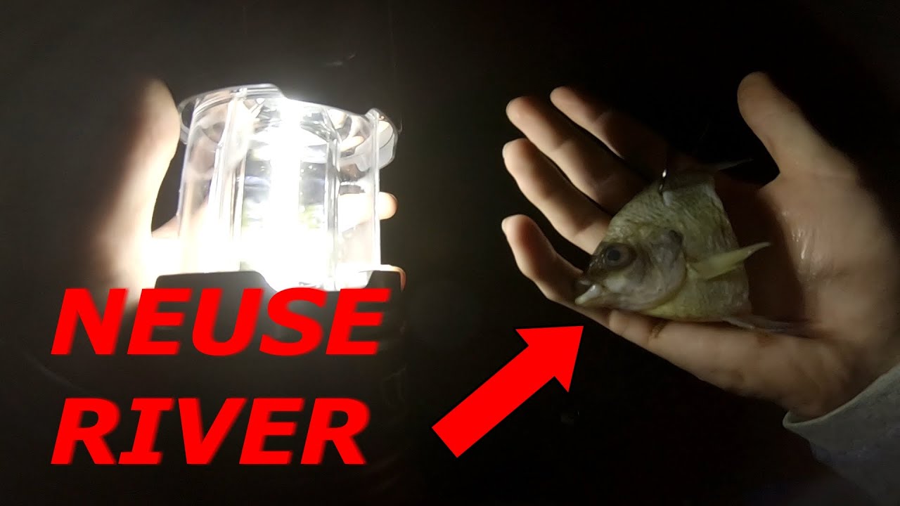 Flathead Catfishing The Neuse River... AGAIN... - YouTube