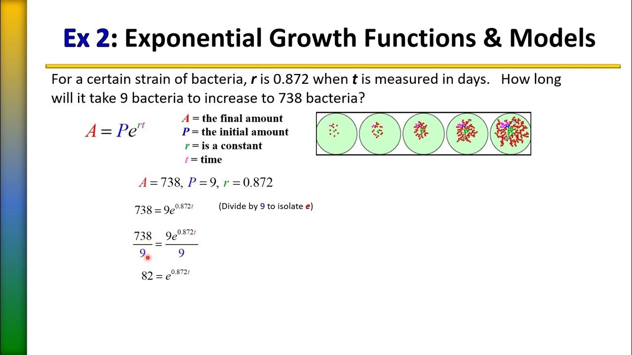 Exponential Growth Functions & Models, Example 2 - YouTube