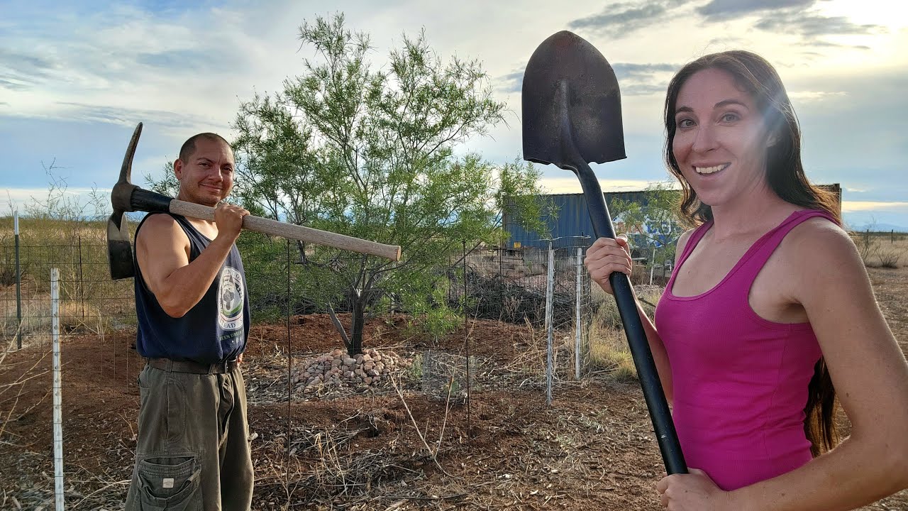 Rainwater Harvesting Infiltration Basin Install | Permaculture ...