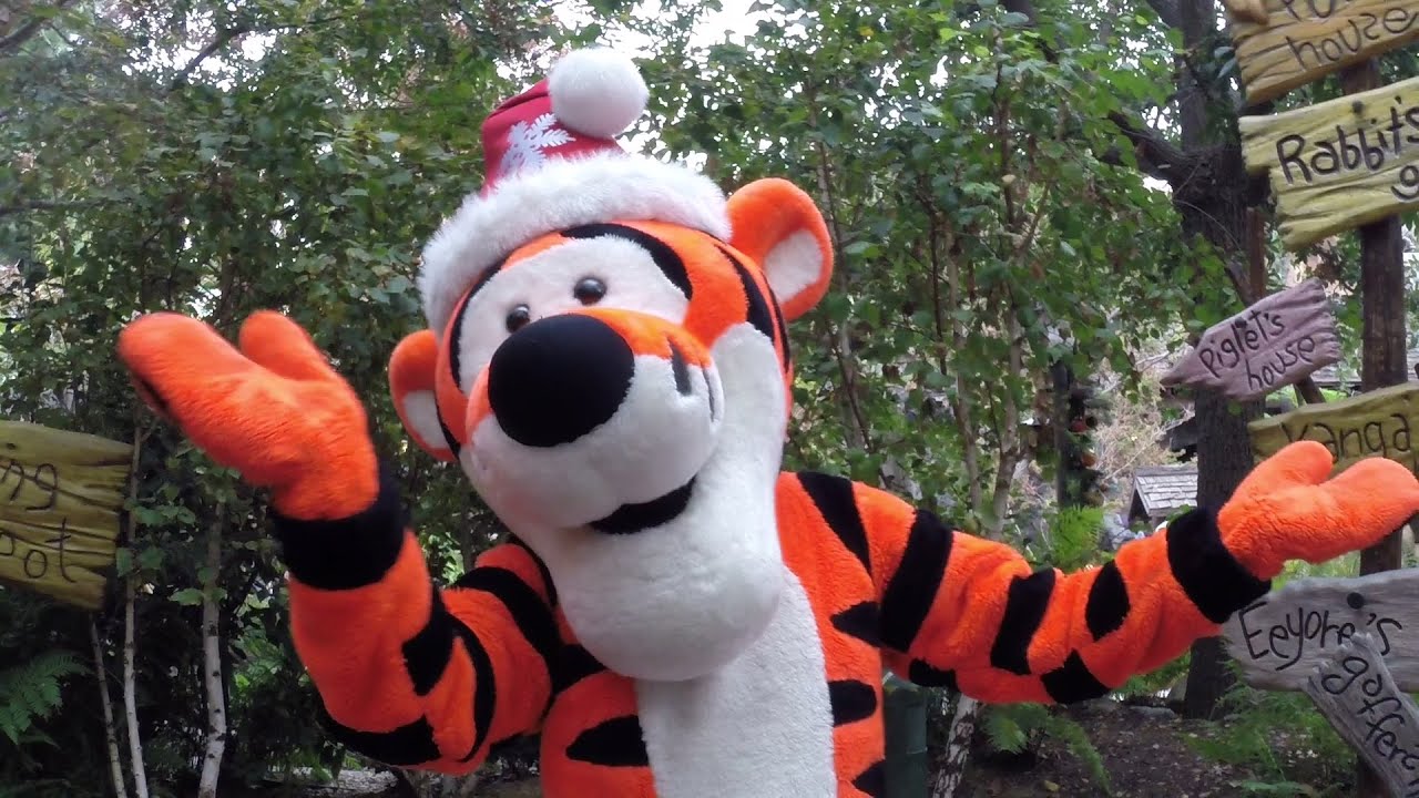 Santa Tigger Meet and Greet - Christmas - YouTube