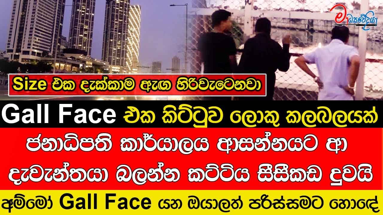 Gall Face එක කිට්ටුව ලොකු කලබලයක් - මෙන්න ආපු දැවැන්තයා - YouTube