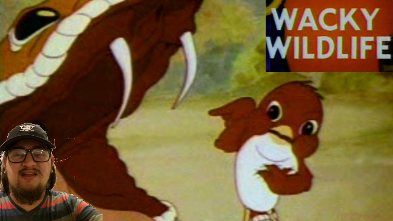 Looney Tunes: Wacky Wildlife (1940) - First Time Watching: Hilarious ...