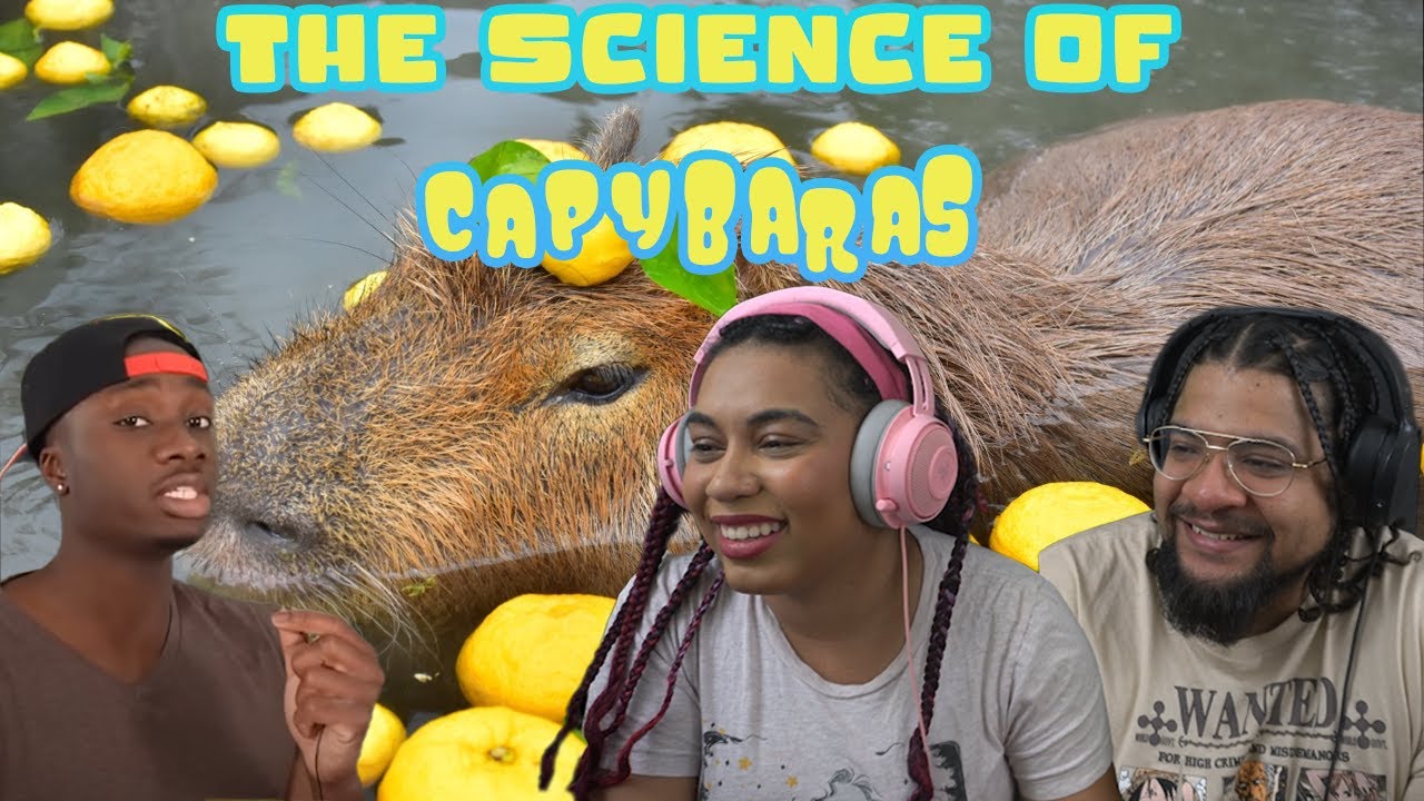 Why Are Capybaras So Chill? | Casual Geographic REACTION ft. Chavezz ...