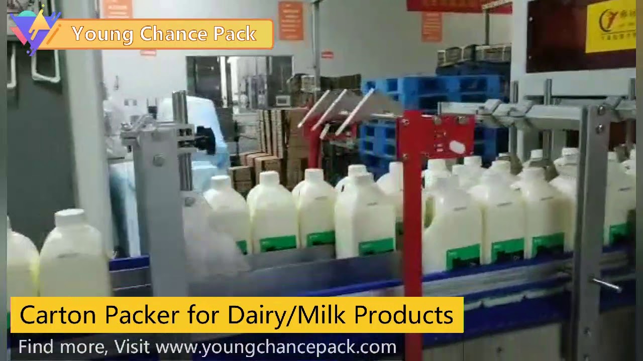 Carton Packing Solution for Dairy Milk Products in Large Square Bottle ...
