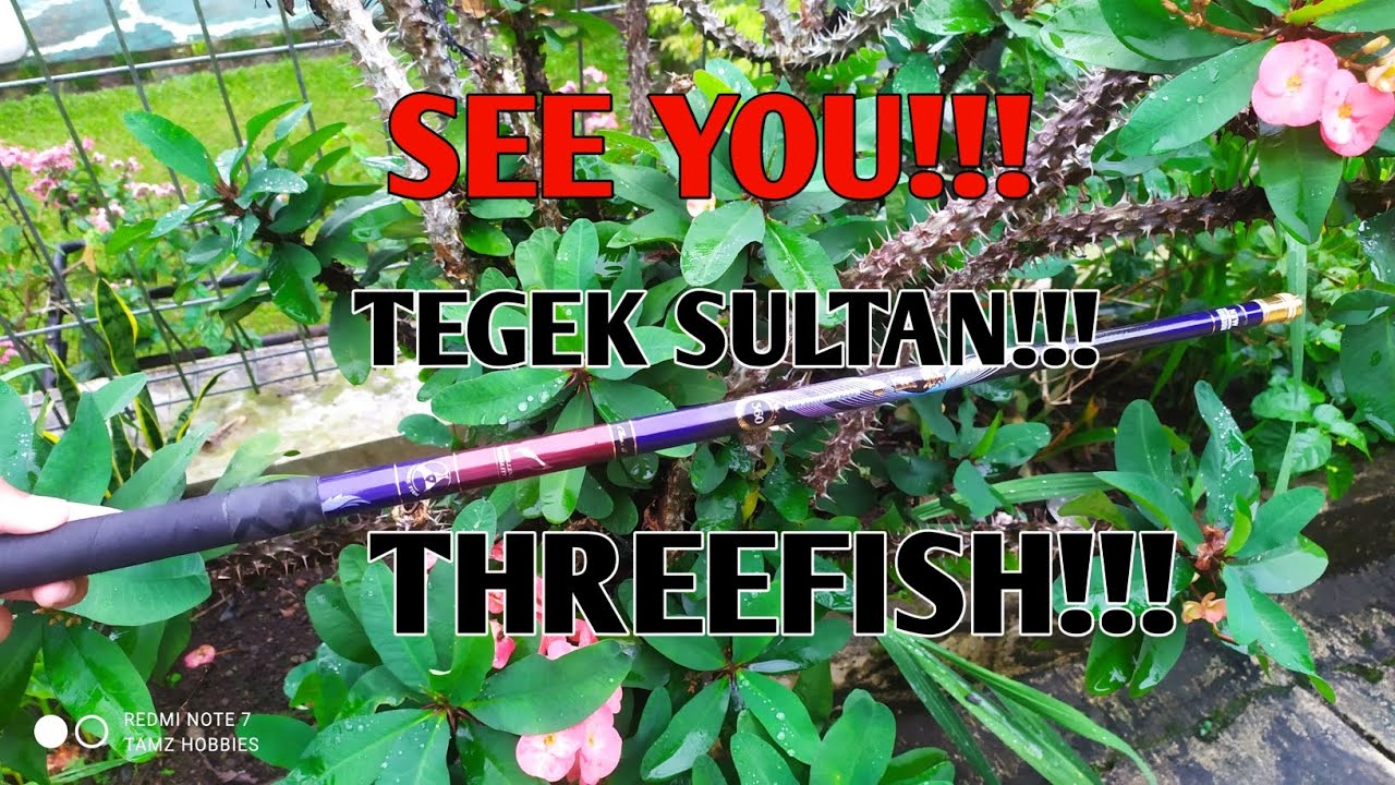 REVIEW JORAN TEGEK THREEFISH XI YUE - YouTube
