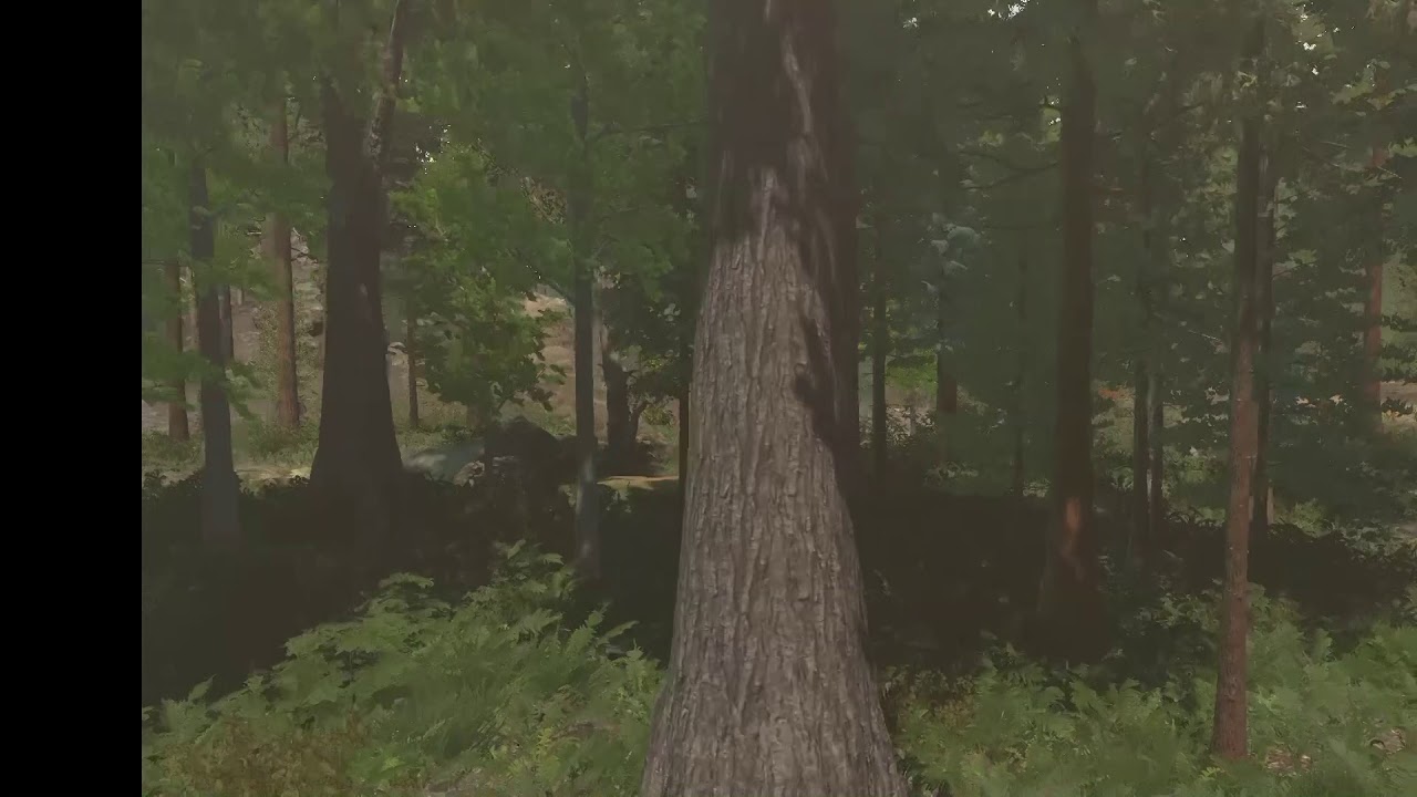 Visual Forester Graphics Demo 03 - YouTube