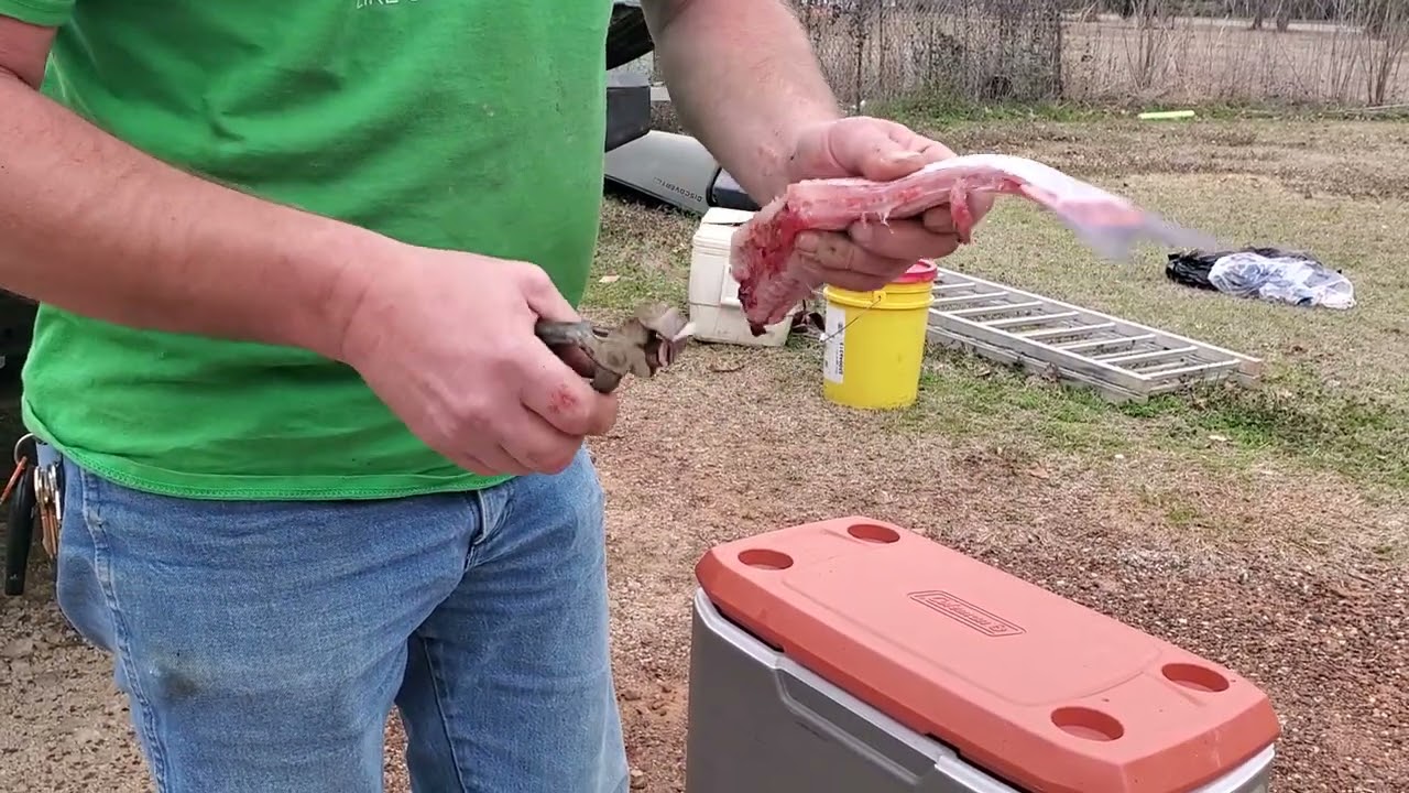 How To Clean Catfish (QUICK AND EASY) - YouTube