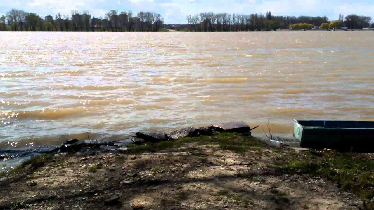 Sava Šabac - YouTube